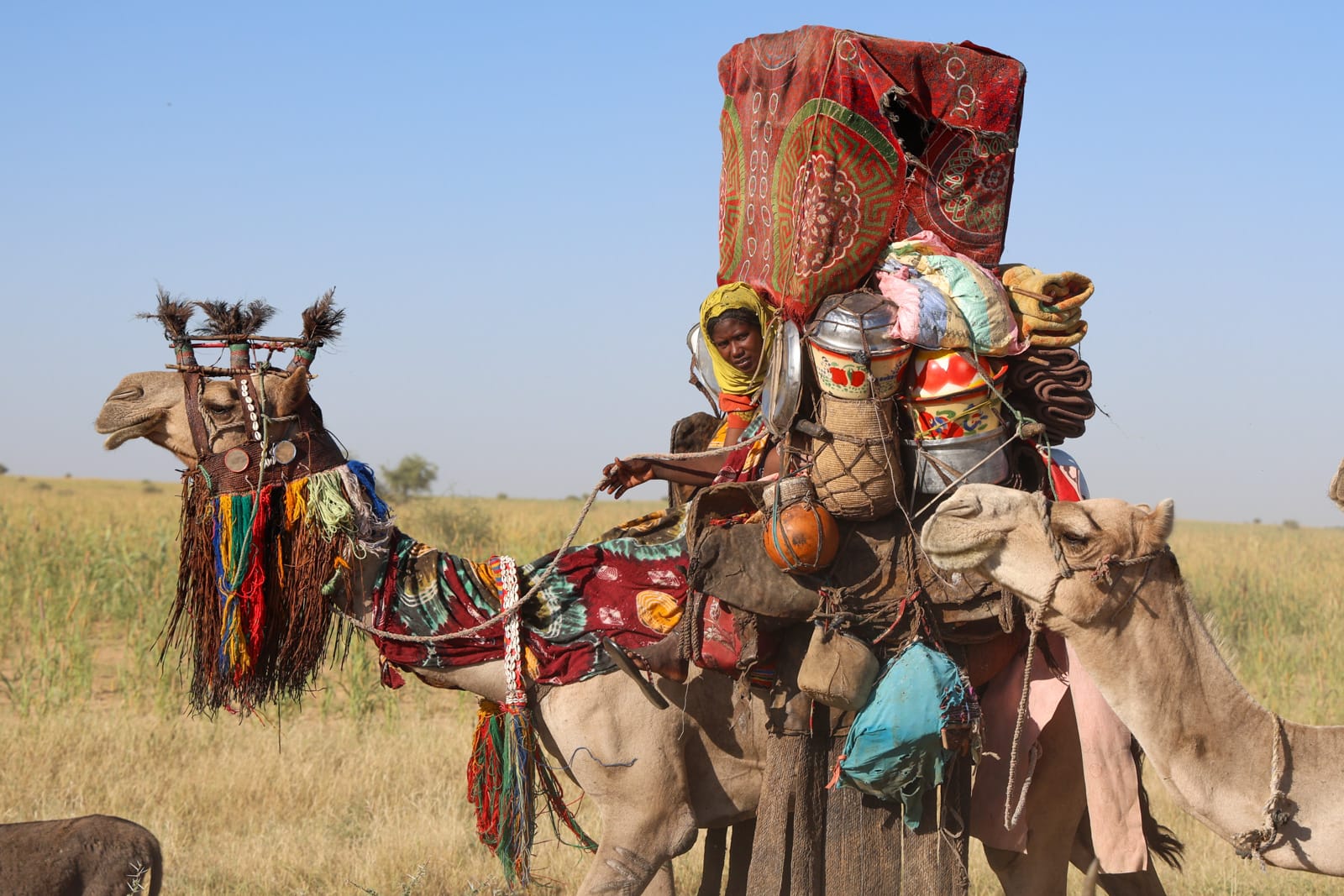 Lago Chad, un ecosistema natural y cultural impresionante - Kumakonda