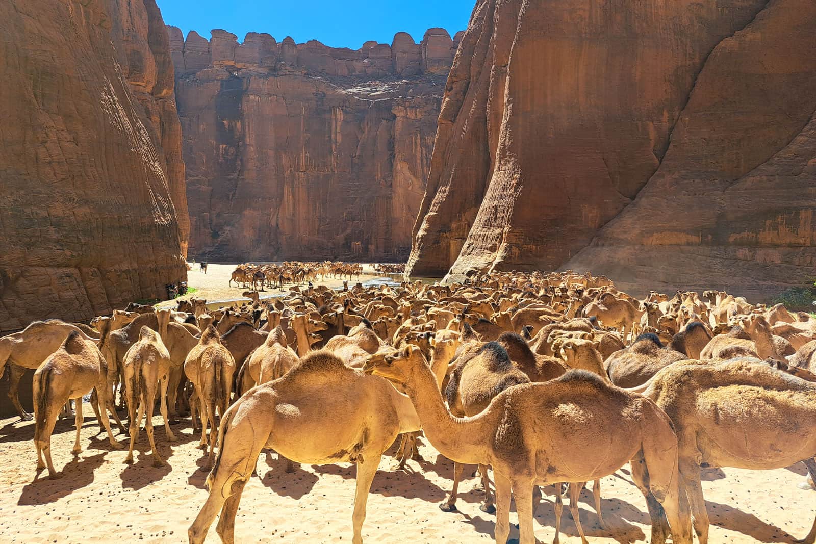 Lago Chad, un ecosistema natural y cultural impresionante - Kumakonda