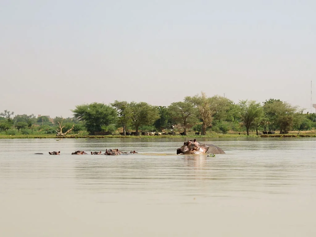 Rio Niger Village On The Bank Of The Niger River, Mali Photo