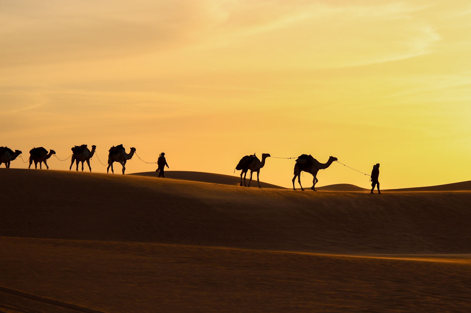 🐪 Caravanas de sal en el Sahara, resistencia o muerte