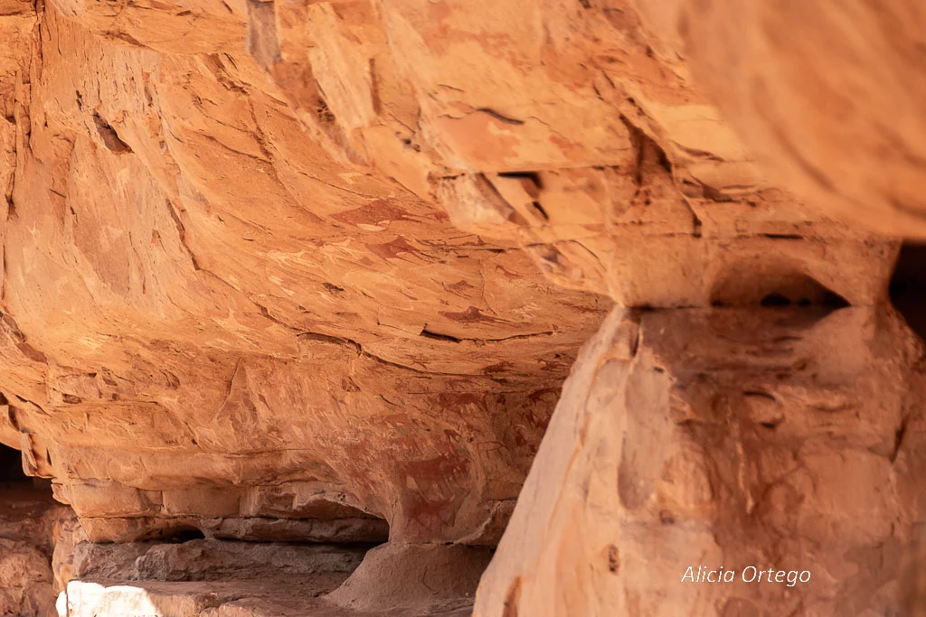 Sahara Rock Art