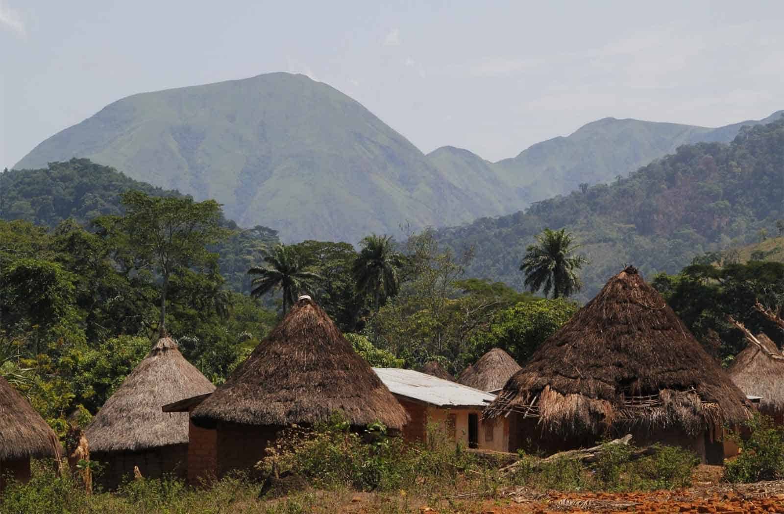 Timothy Guinee Sweet Land