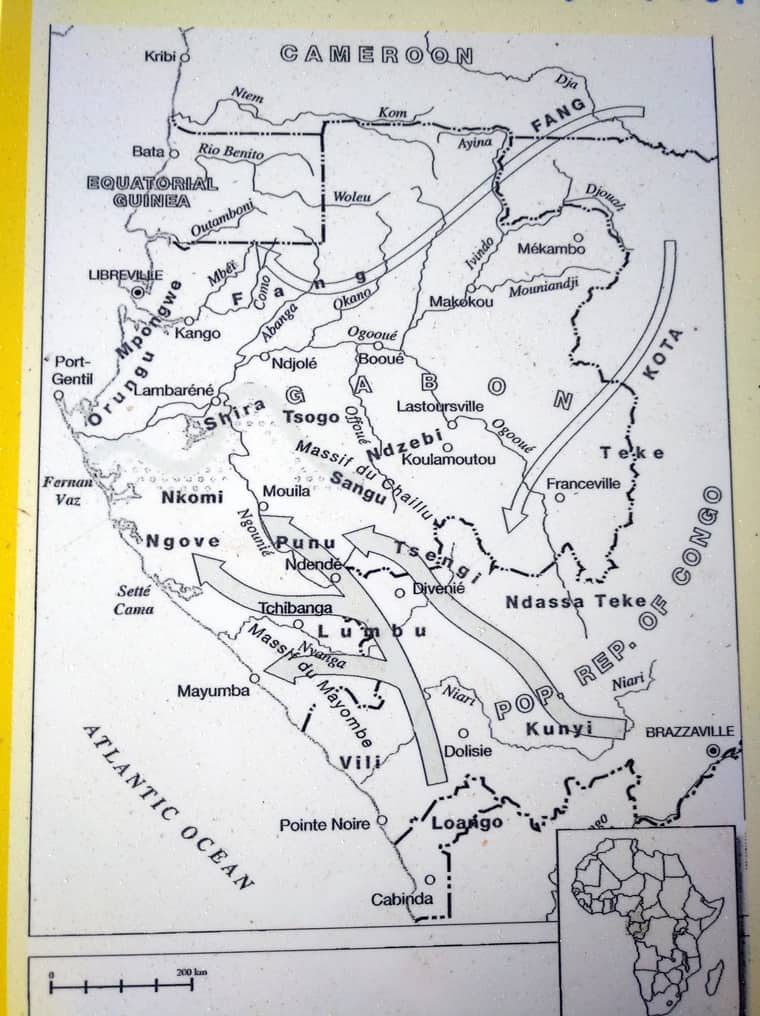 TRIPS TO GABON, explosion of wildlife - Kumakonda