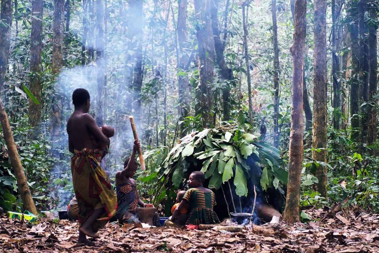 Pigmeos Baaka, habitantes de los bosques de África central - 4/4