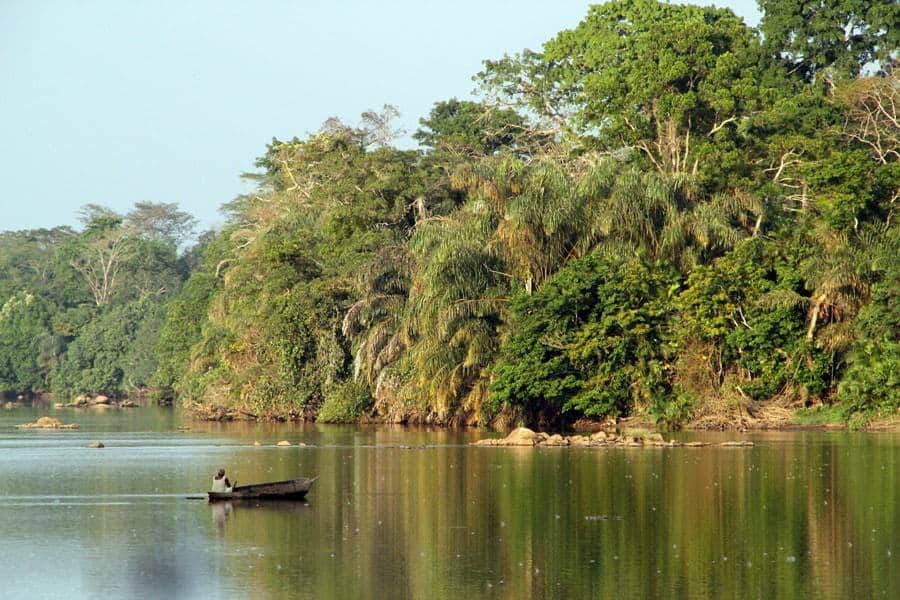 El santuario de Tiwai Island en Sierra Leona - Kumakonda