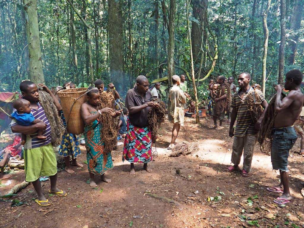Baaka Pygmies, forest inhabitants of Central Africa - 4/4